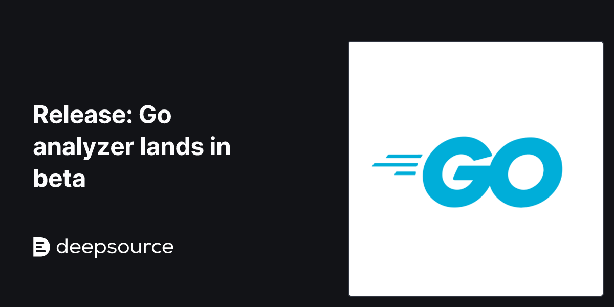 Release: Go analyzer lands in beta • DeepSource