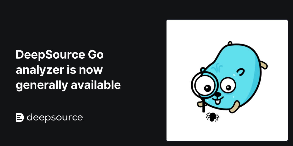 DeepSource Go analyzer is now generally available • DeepSource